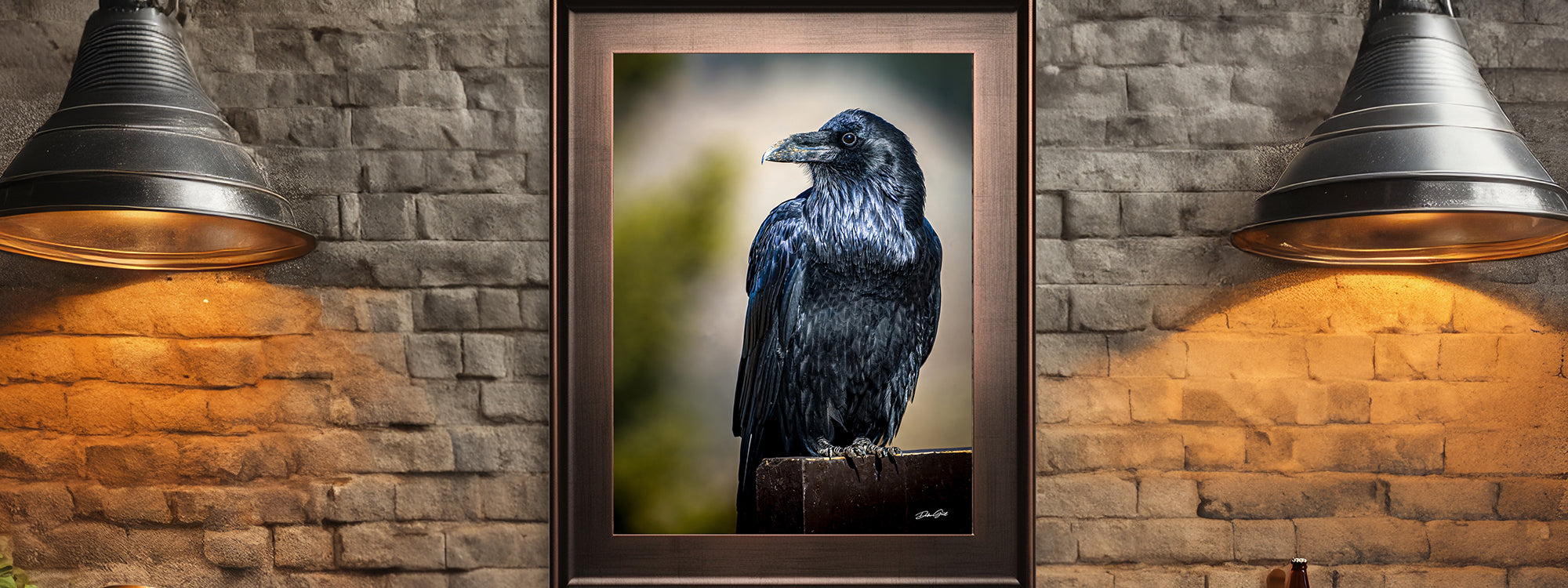 Wildlife Wall Art – Rustic Nature Photography Prints – Debra Gail Fine Art
