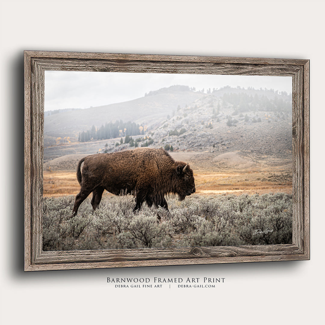 Bison Wall Art - Debra Gail Fine Art Large Canvas Print