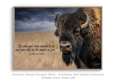 Debra Gail Fine Art - Rustic & Western Photography