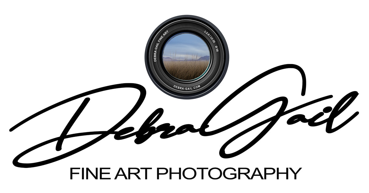 Discover More - Stories, Inspiration, and the Spirit of the West ...