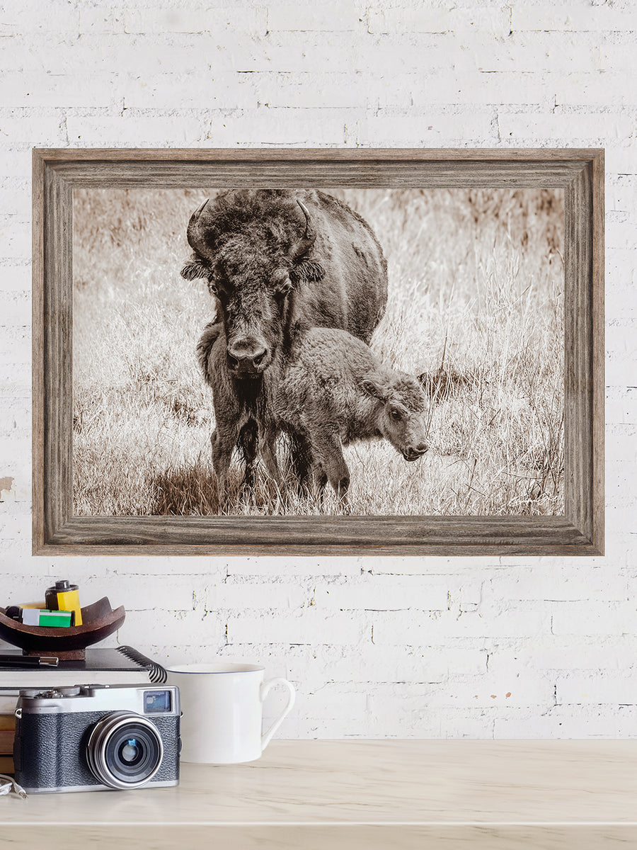Western Style Wall Art – Rustic Western Photography Prints – Debra Gail ...