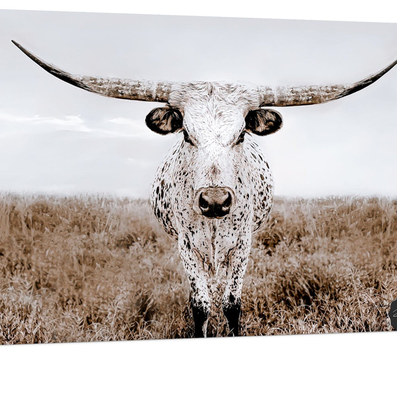 Western Style Wall Art – Debra Gail Fine Art