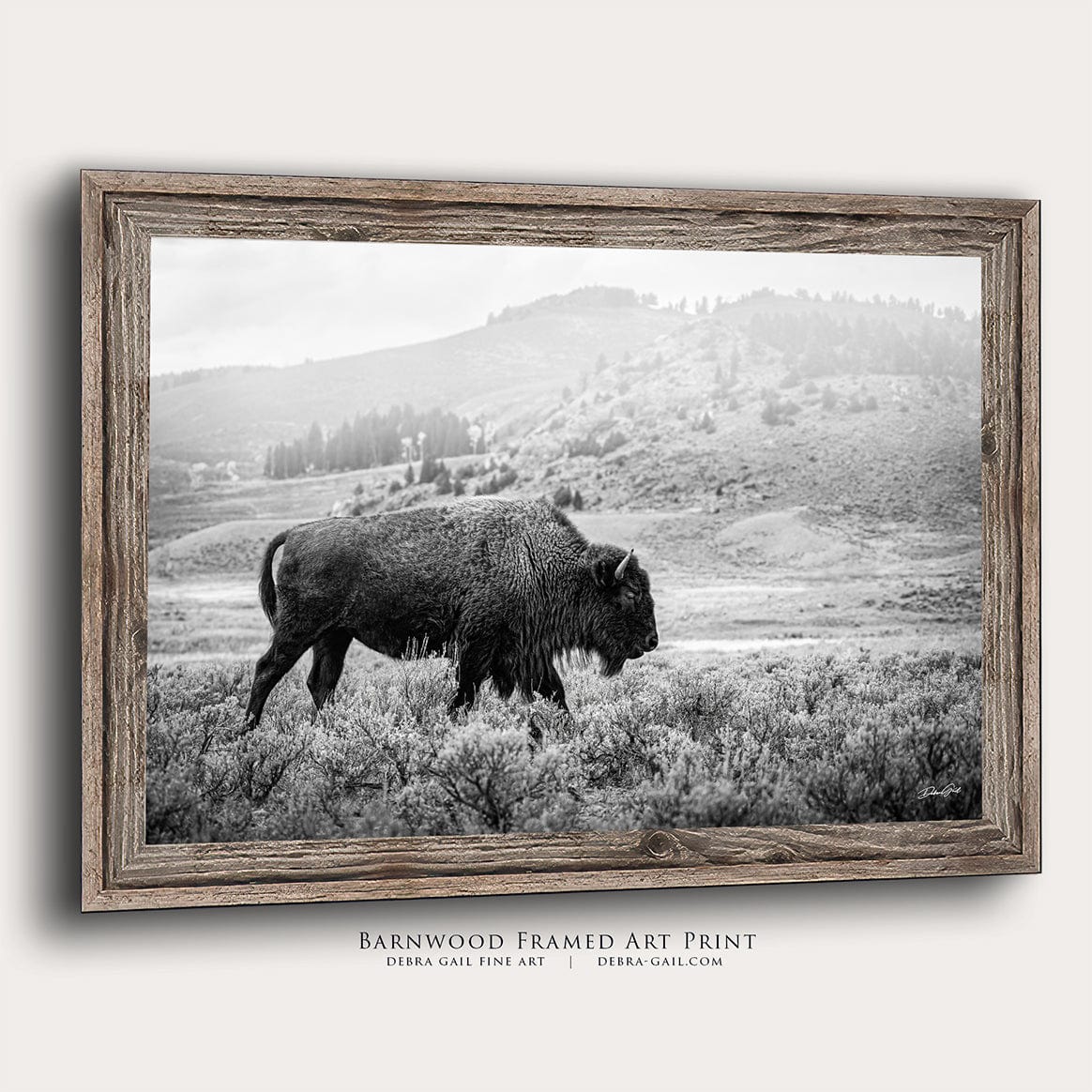 Western Style Wall Art – Debra Gail Fine Art